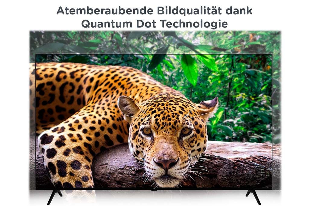 OK. OTV 65AQU-5023C QLED UHD TV (65 Zoll / 164,0 cm, QLED 4K, SMART TV) | MediaMarkt