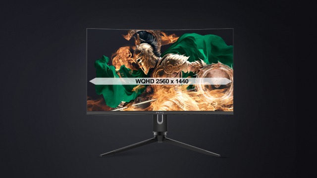 PEAQ PMO G271-CQK 27 Zoll WQHD Gaming Monitor (1 ms Reaktionszeit, 165 ...