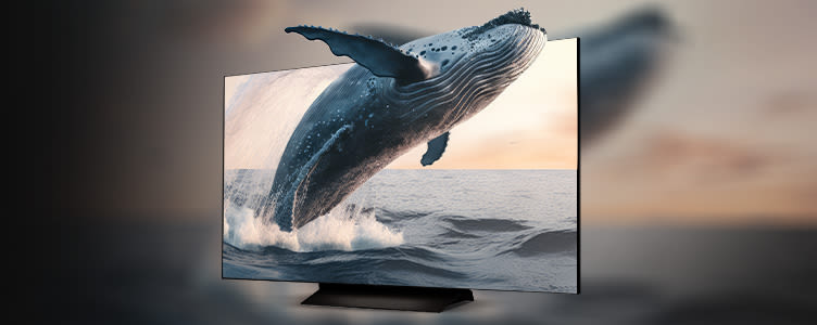 OLED Fernseher erklärt: Bildqualität, Vorteile & Vergleich | MediaMarkt