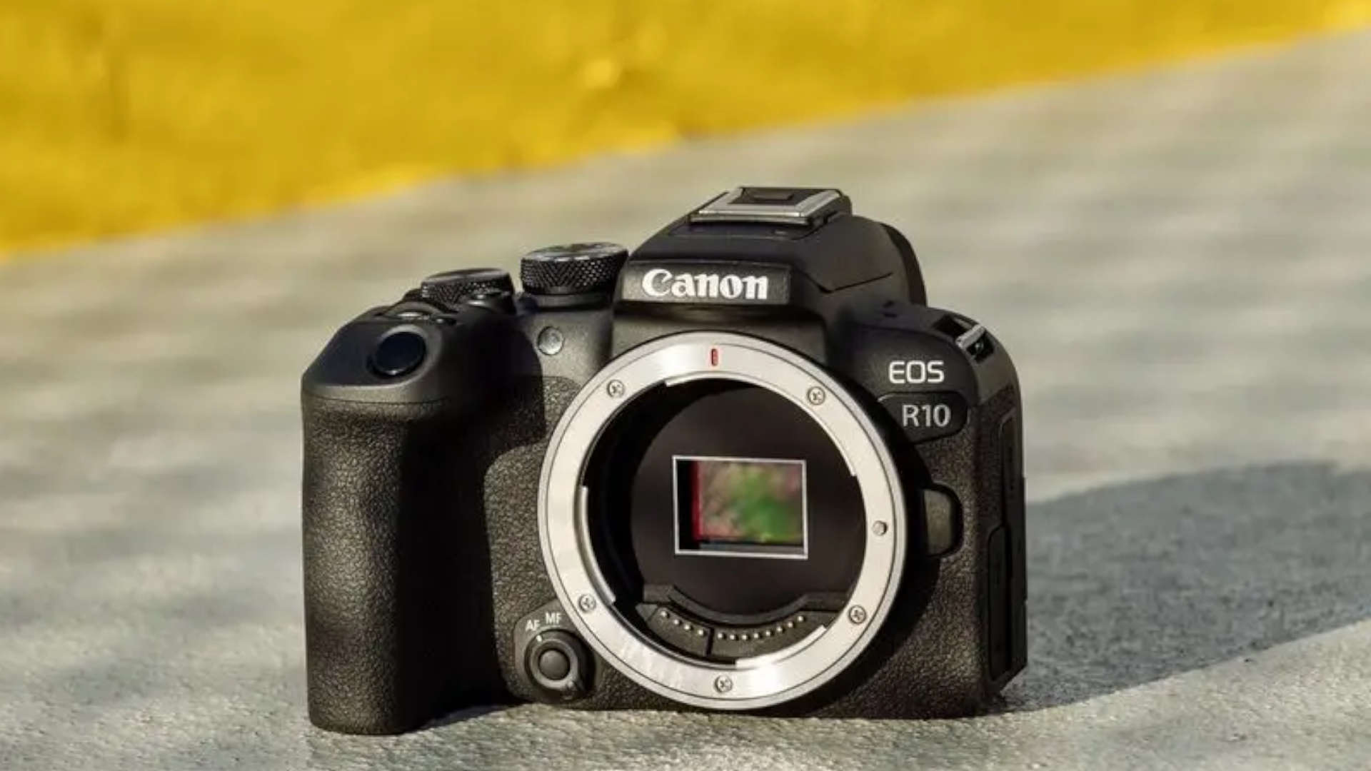 CANON EOS R100 + RF-S 18-45 + RF-S 55-210 kopen? | MediaMarkt
