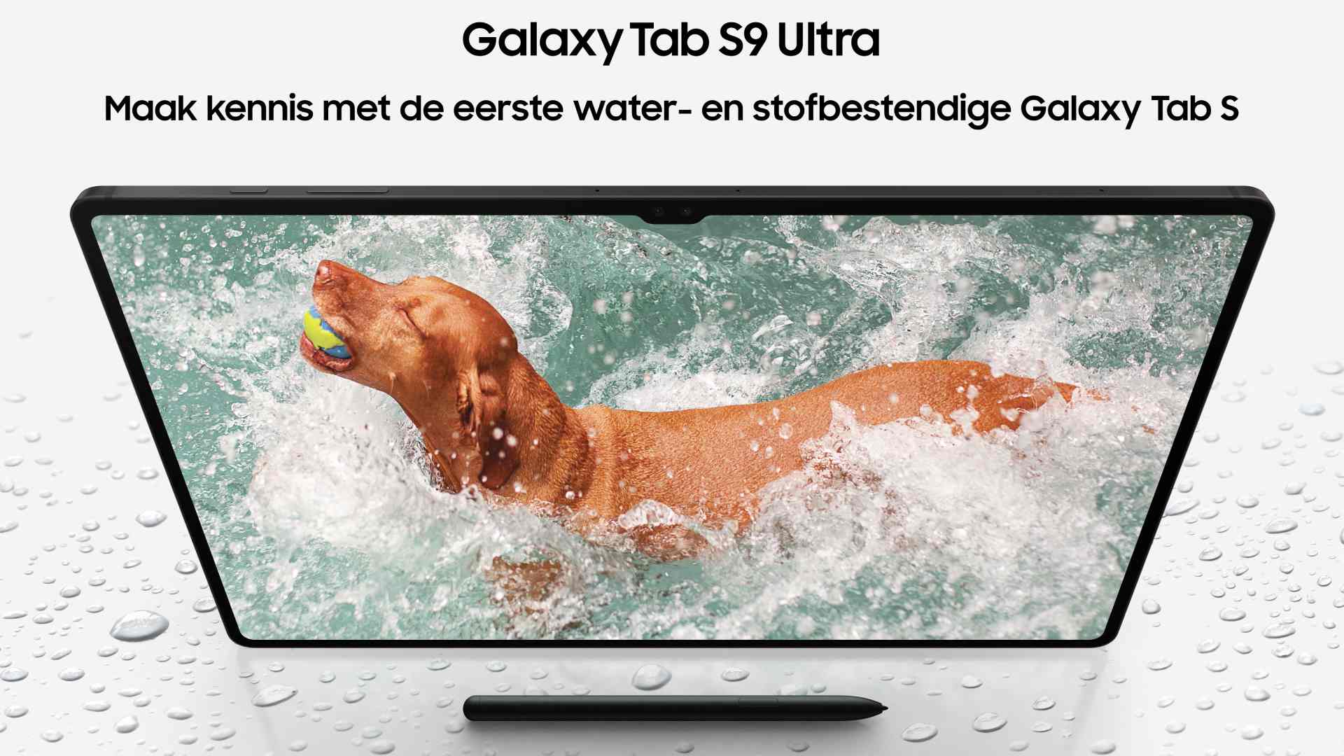 SAMSUNG Galaxy Tab S9 Ultra | 14.6 inch - 512 GB - Zwart - Wifi kopen ...