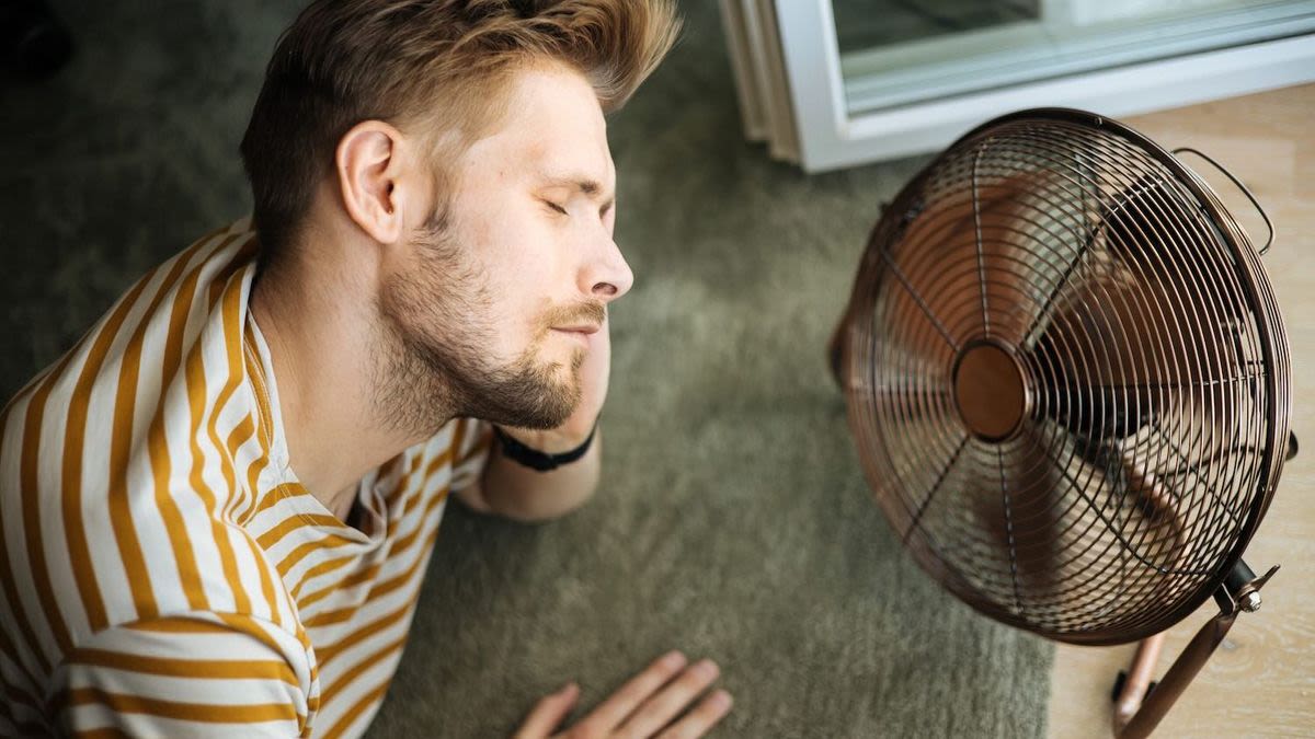 Einen Raum mit Ventilator kühlen: Diese 5 Tipps helfen | MediaMagazin