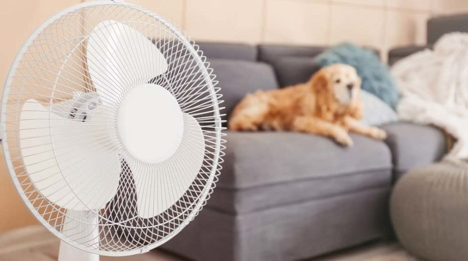 L’achat d’un ventilateur | MediaMarkt