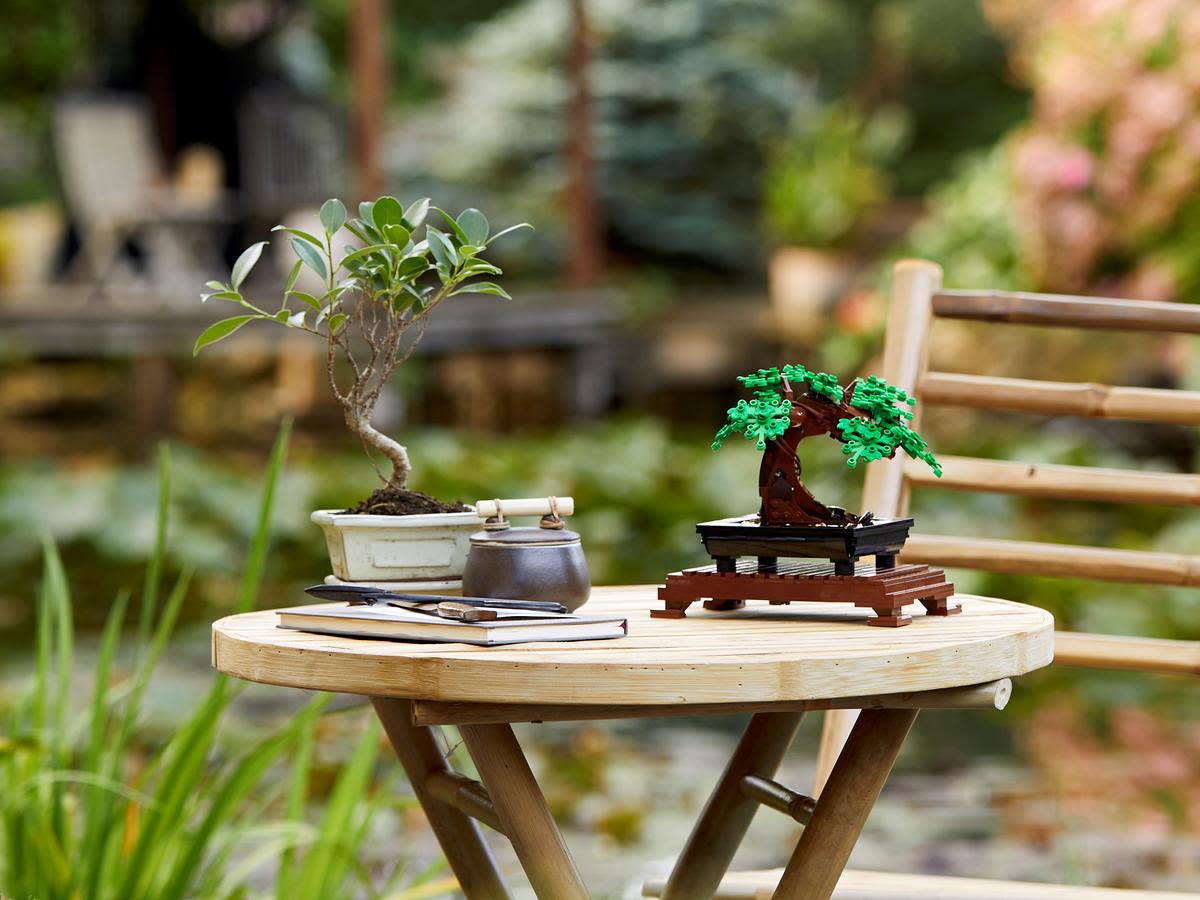 Cómo limpiar LEGO Botanical: guía práctica y segura